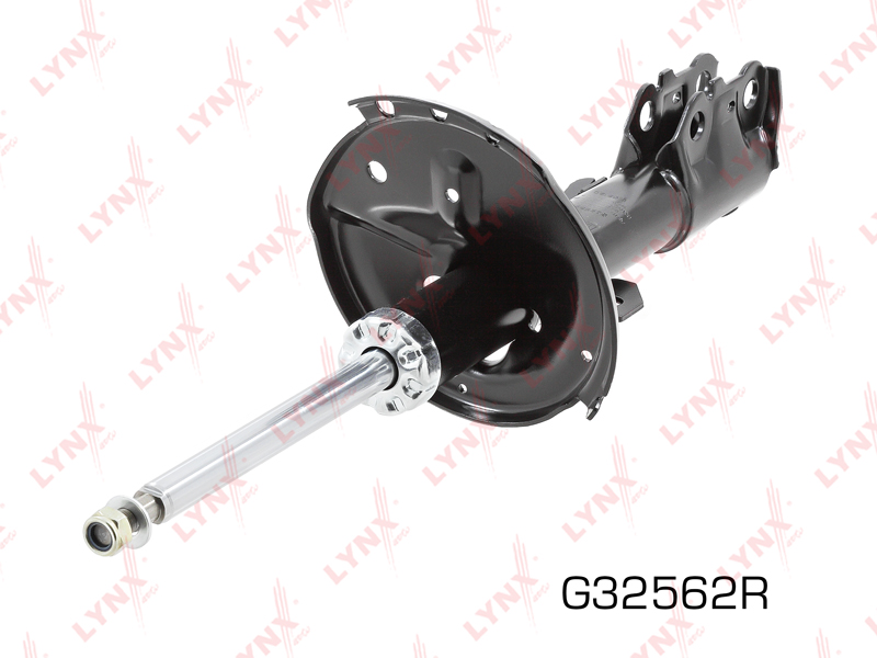 Shock absorber strut gas, right, front