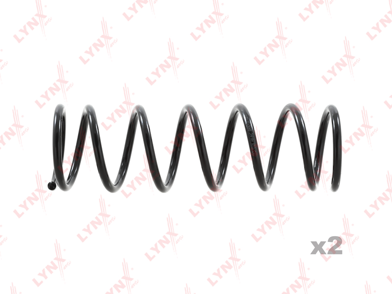 Coil spring, rear